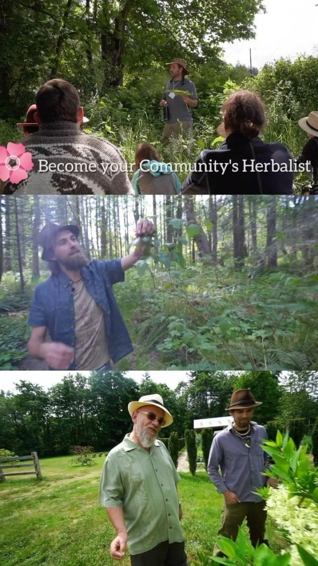 Yarrow Willard – The Herbal Jedi